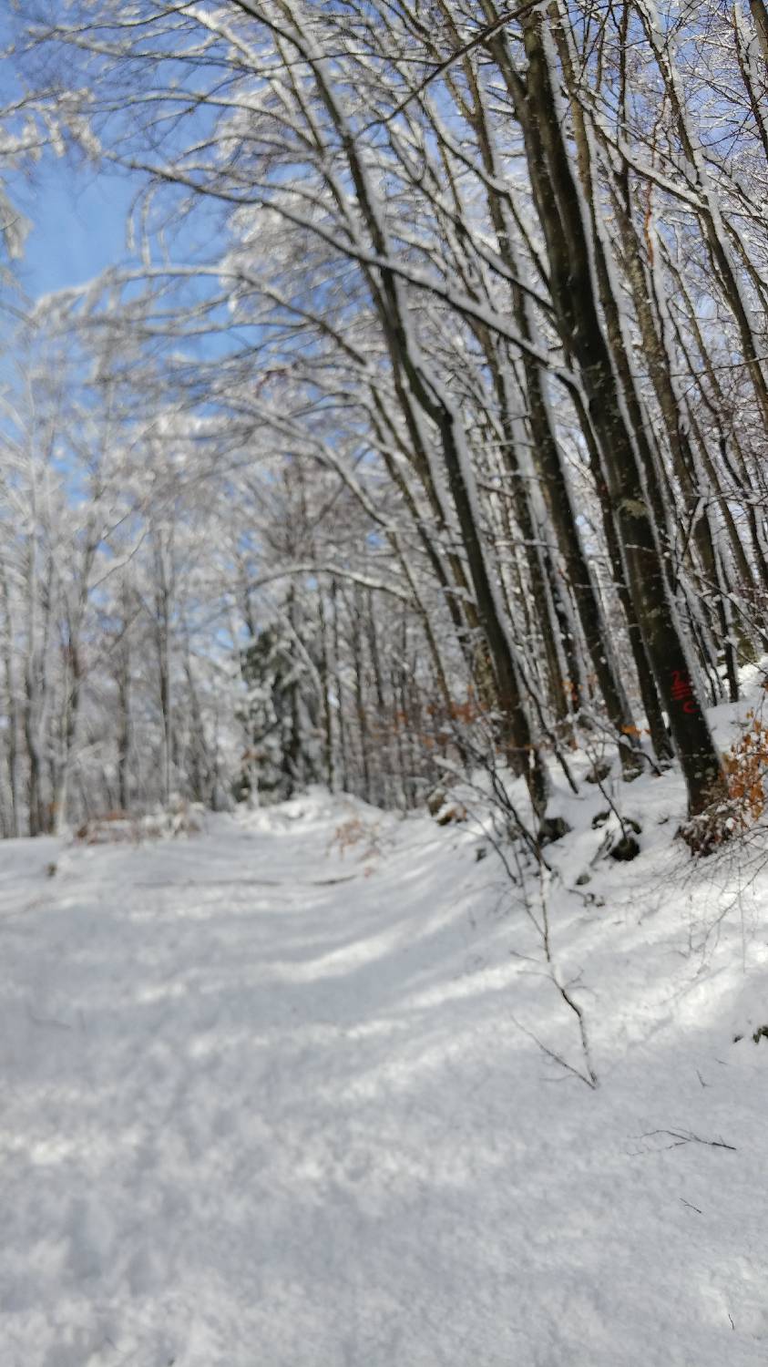 Predmeja - Mali Golak | Slike | Mountains Geek