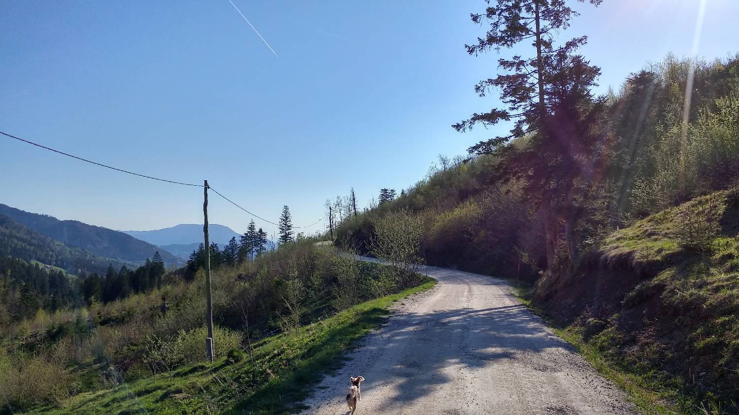 Črnivec - Planina Travnik | Slike | Mountains Geek