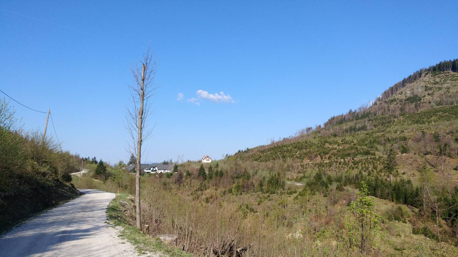 Črnivec - Planina Travnik | Slike | Mountains Geek