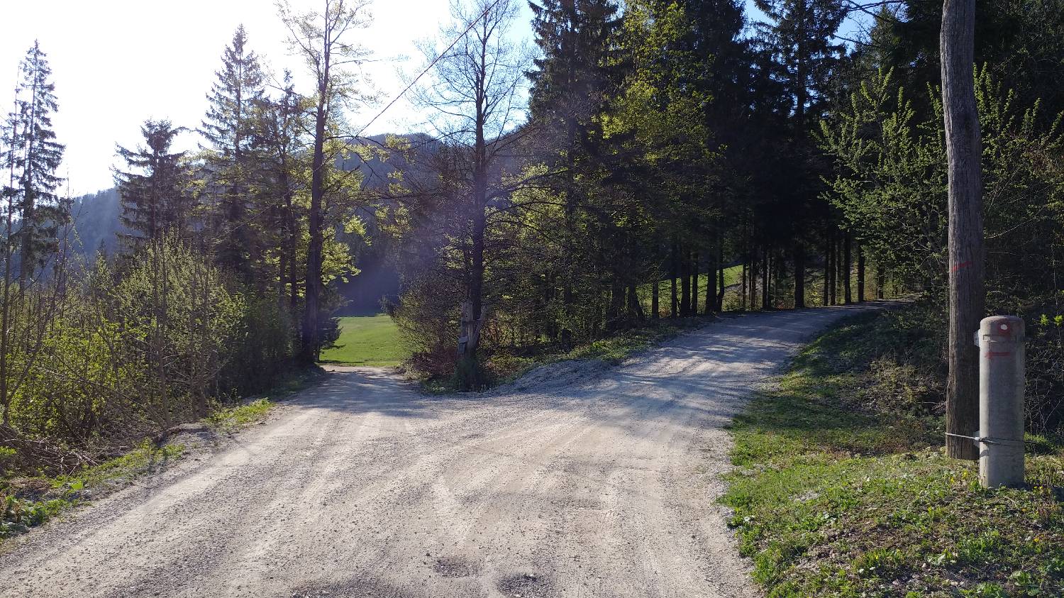 Črnivec - Planina Travnik | Slike | Mountains Geek