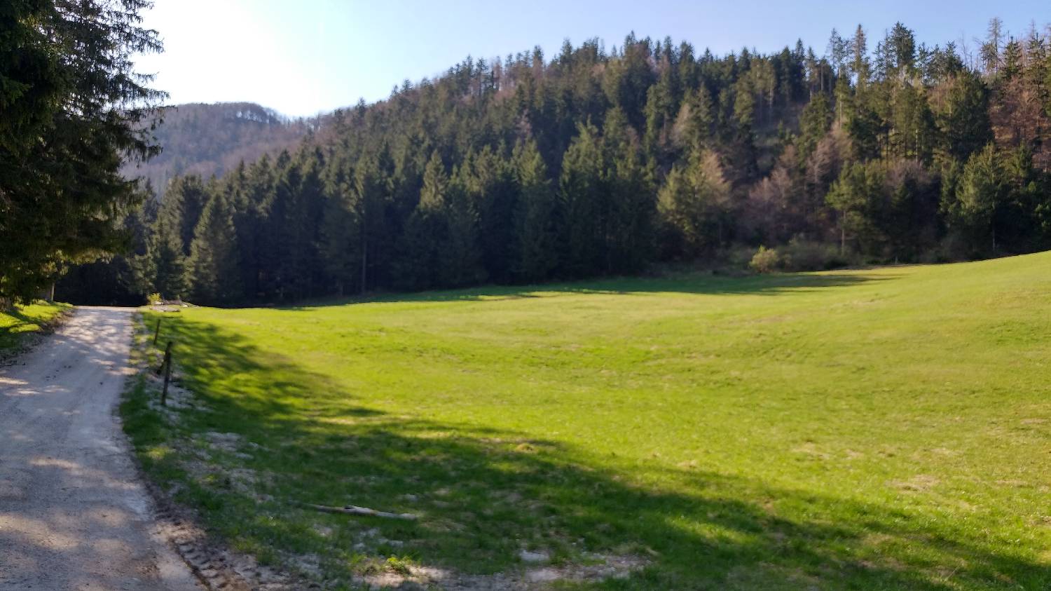 Črnivec - Planina Travnik | Slike | Mountains Geek