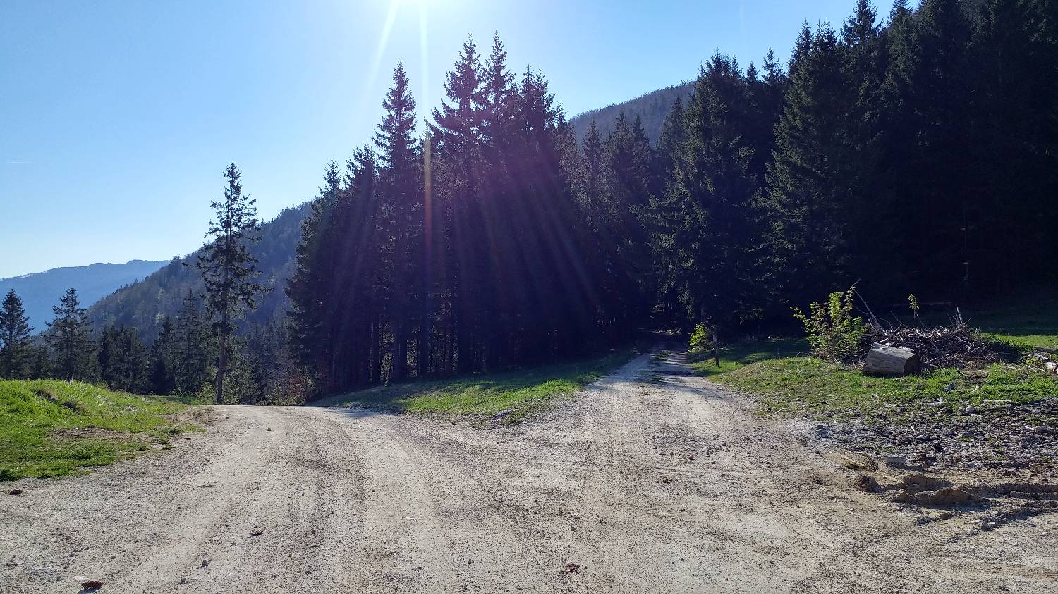 Črnivec - Planina Travnik | Slike | Mountains Geek