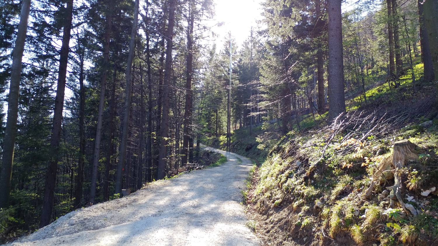 Črnivec - Planina Travnik | Slike | Mountains Geek