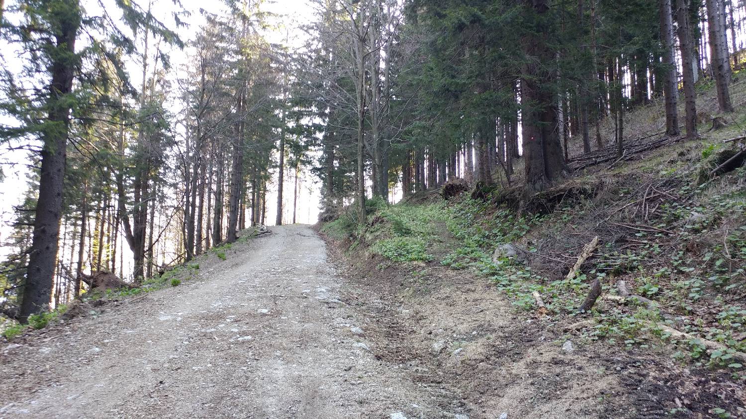Črnivec - Planina Travnik | Slike | Mountains Geek