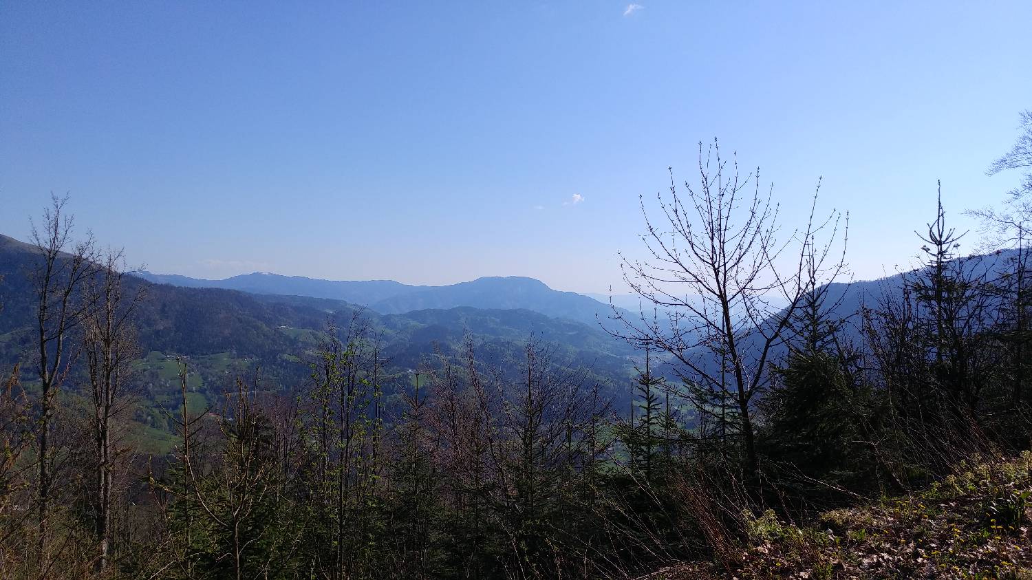 Črnivec - Planina Travnik | Slike | Mountains Geek