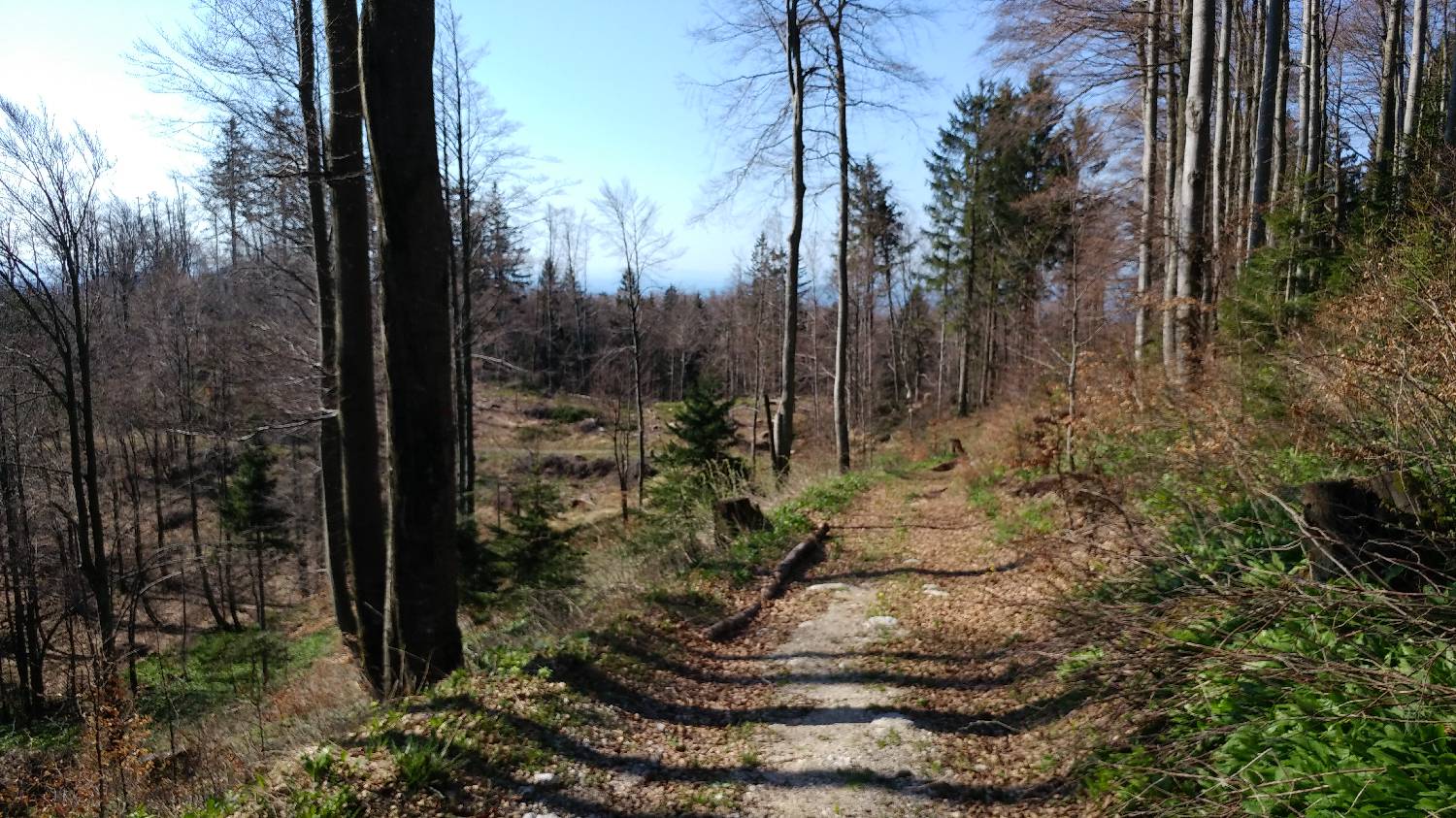 Črnivec - Planina Travnik | Slike | Mountains Geek