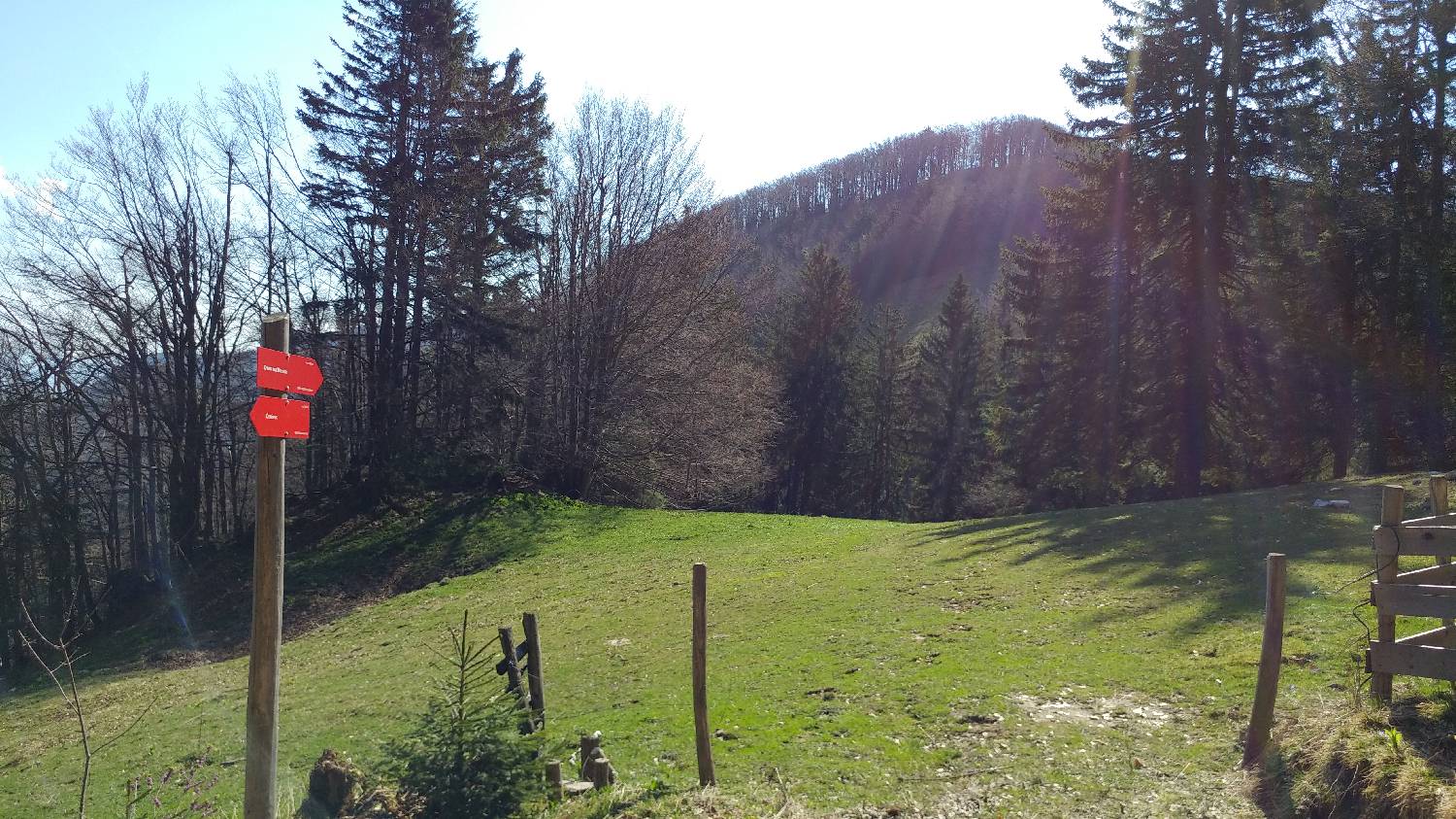 Črnivec - Planina Travnik | Slike | Mountains Geek