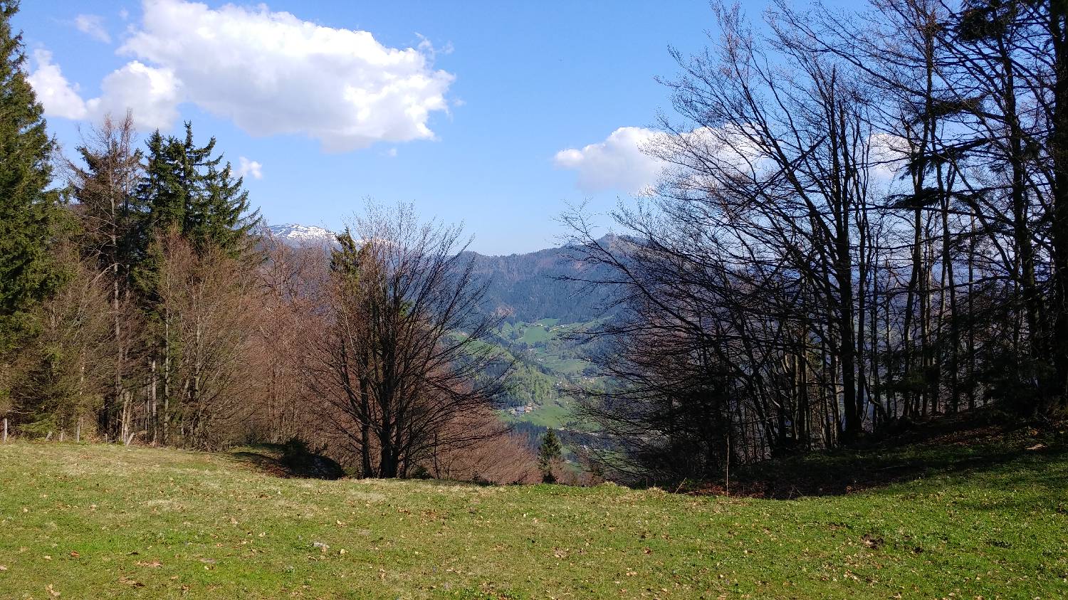 Črnivec - Planina Travnik | Slike | Mountains Geek