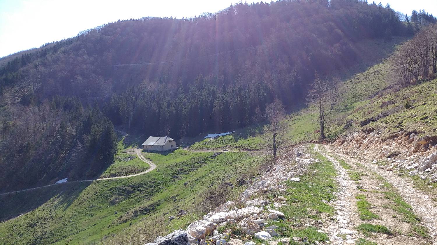 Črnivec - Planina Travnik | Slike | Mountains Geek