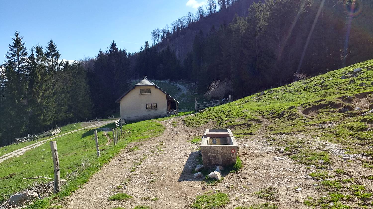 Črnivec - Planina Travnik | Slike | Mountains Geek