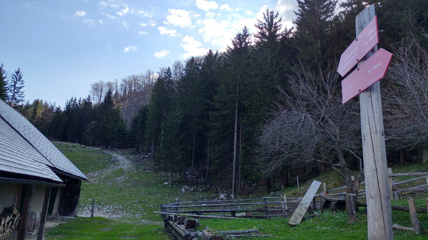Črnivec - Planina Travnik | Slike | Mountains Geek
