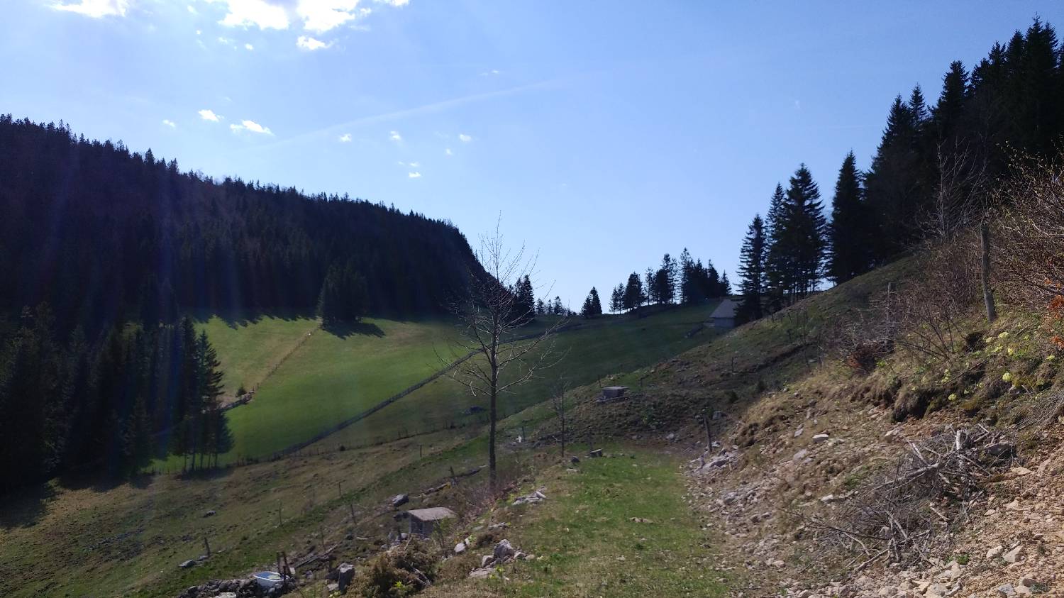 Črnivec - Planina Travnik | Slike | Mountains Geek