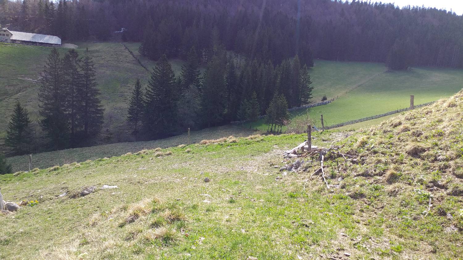 Črnivec - Planina Travnik | Slike | Mountains Geek