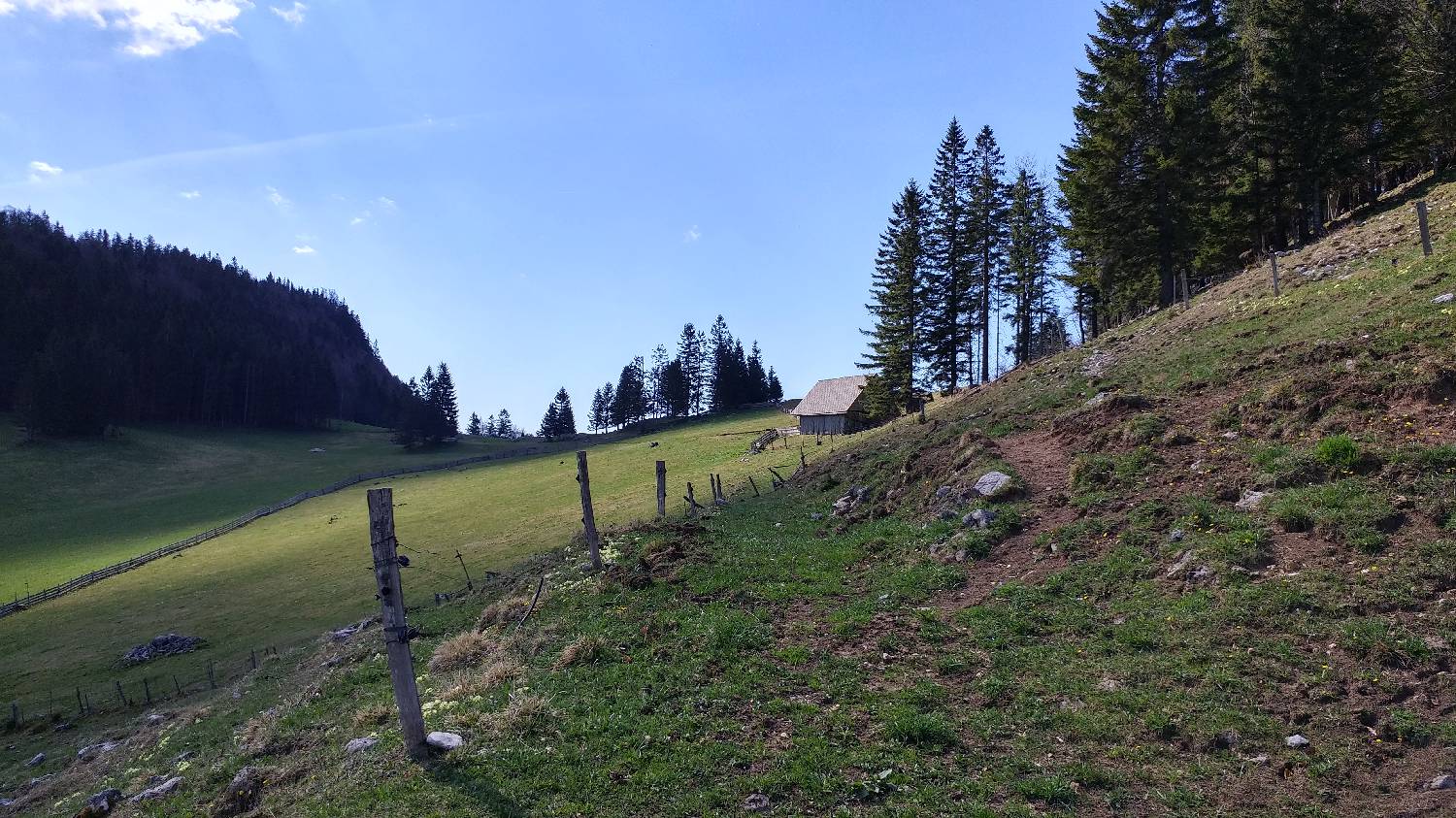 Črnivec - Planina Travnik | Slike | Mountains Geek