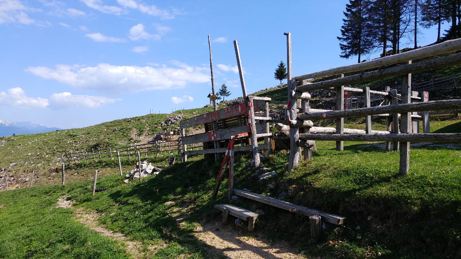 Črnivec - Planina Travnik | Slike | Mountains Geek