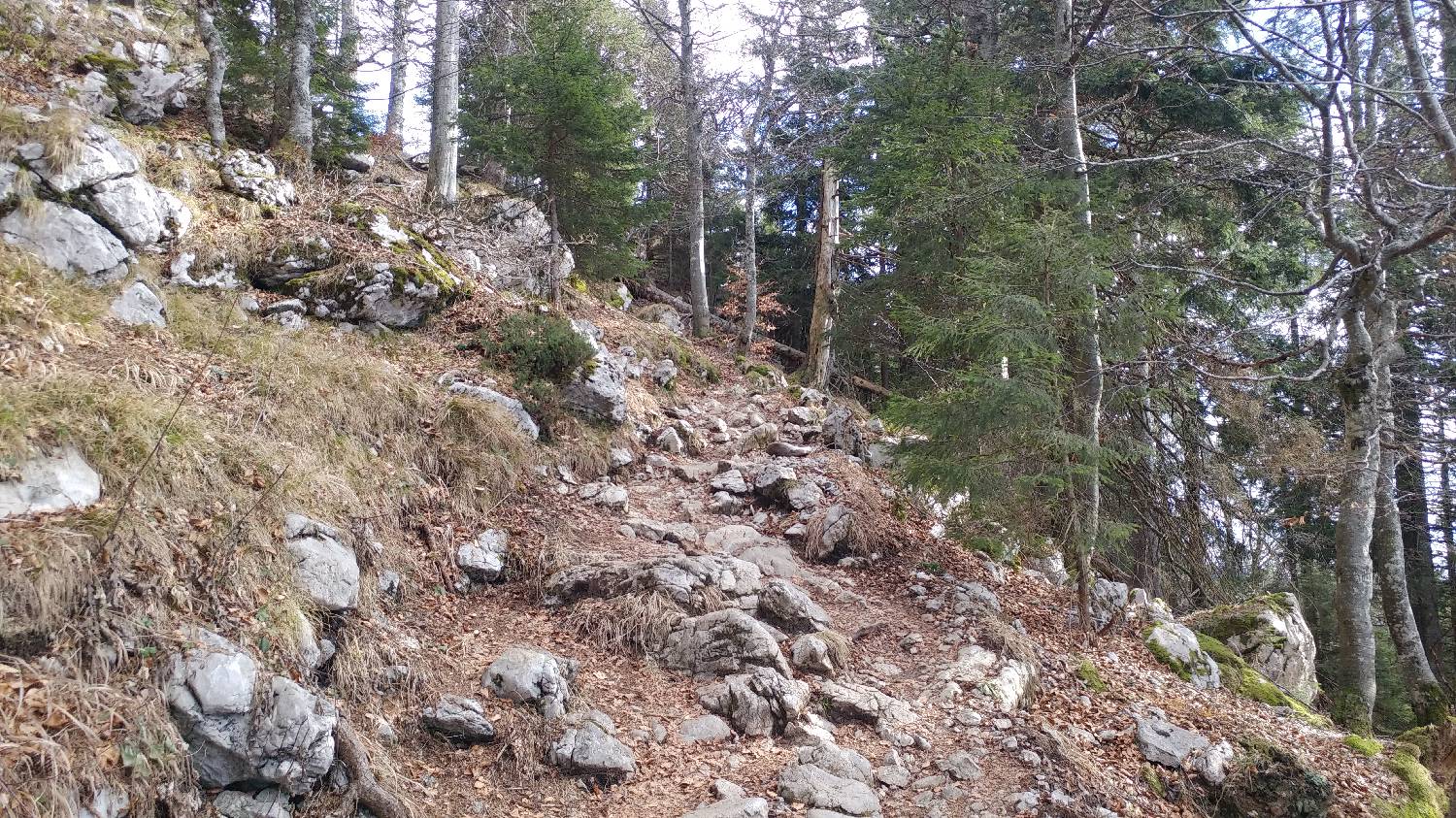 Laško - Planinski dom na Kališču | Slike | Mountains Geek