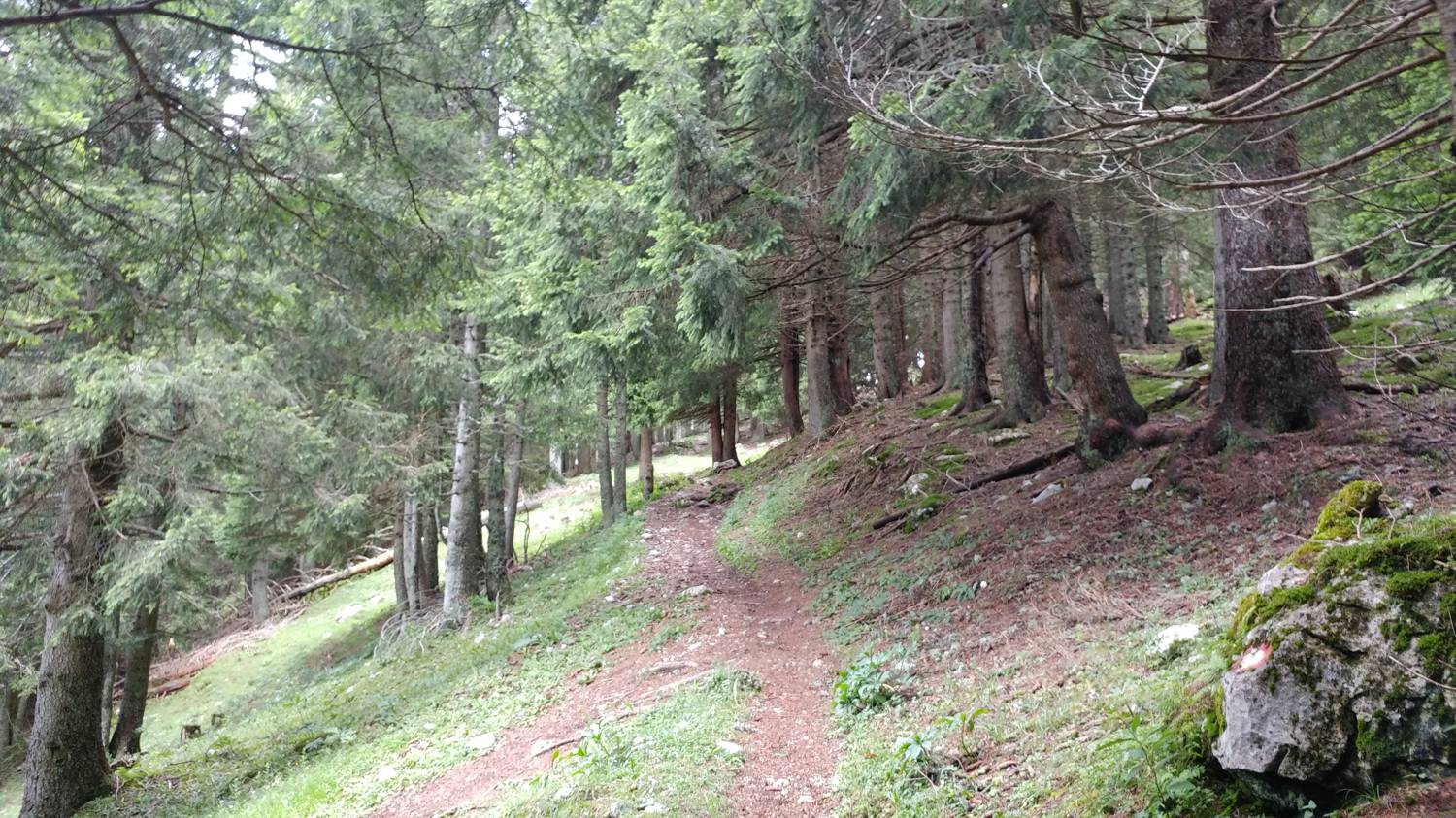 Valvasorjev dom pod Stolom - Stol | Slike | Mountains Geek